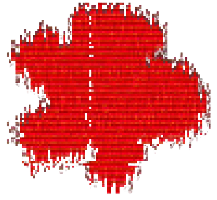 NilSODA | Baldi's Basics Fanon Wiki | Fandom