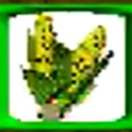 Corn | Baldi Frenzy Wiki | Fandom