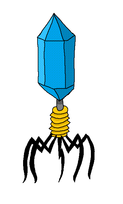 Experiment 059 | Baldi's Basics Experiments Wiki | Fandom