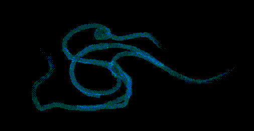 Experiment 311 | Baldi's Basics Experiments Wiki | Fandom