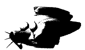 Experiment 300 | Baldi's Basics Experiments Wiki | Fandom