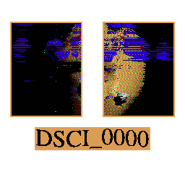 Experiment 284 | Baldi's Basics Experiments Wiki | Fandom