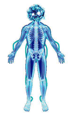 Experiment 344 | Baldi's Basics Experiments Wiki | Fandom