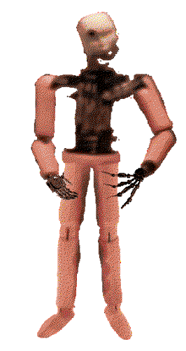 Experiment 273 | Baldi's Basics Experiments Wiki | Fandom