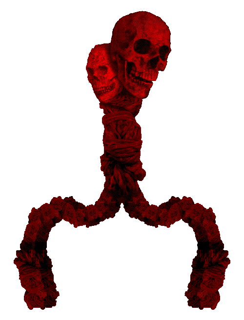 Experiment 314 | Baldi's Basics Experiments Wiki | Fandom