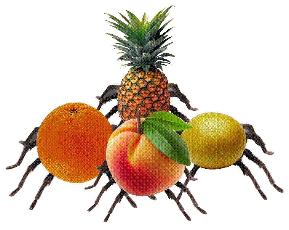 Experiment 214 | Baldi's Basics Experiments Wiki | Fandom