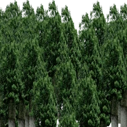 Textures | Baldi's Basics Wiki | Fandom