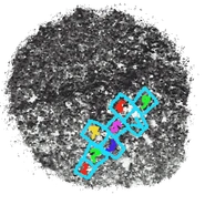 Outdoor area | Baldi's Basics Wiki | Fandom