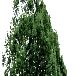 Discuss Everything About Baldi's Basics Wiki | Fandom