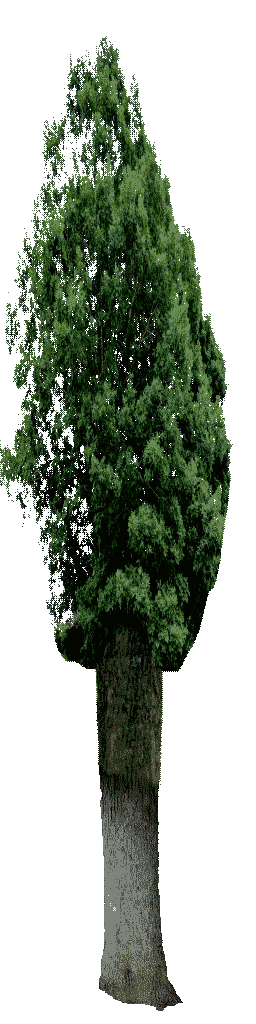 露营 | Baldi's Basic Wiki | Fandom