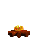 Campfire Frenzy | Baldi's Basics Wiki | Fandom