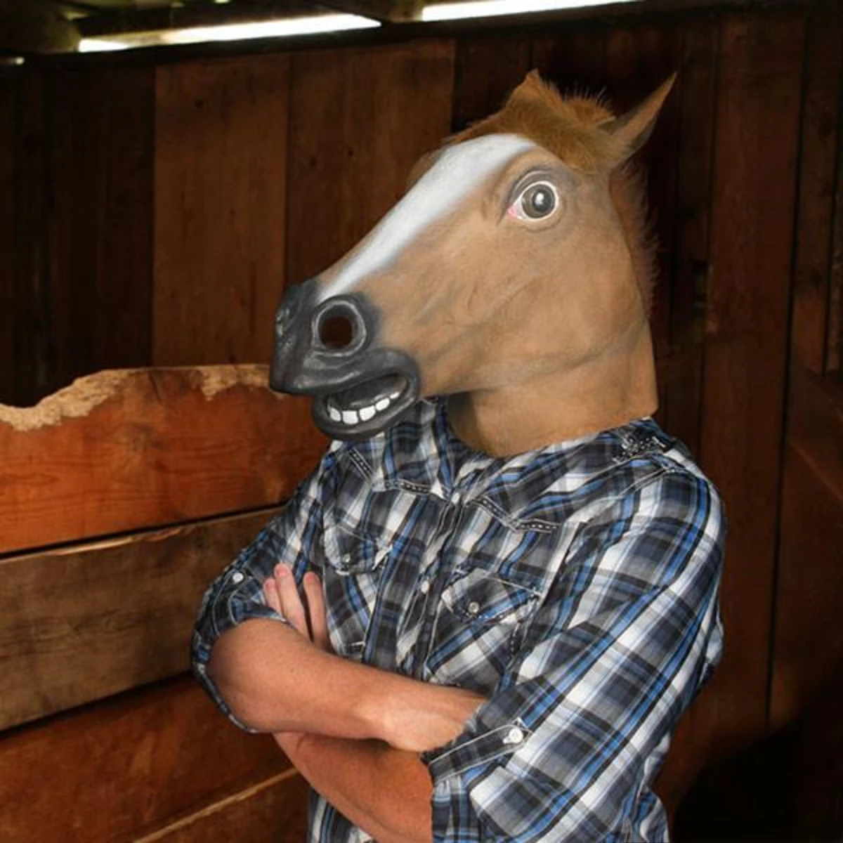 Dusty | Baldi's Basics Random Map Series Wiki | Fandom