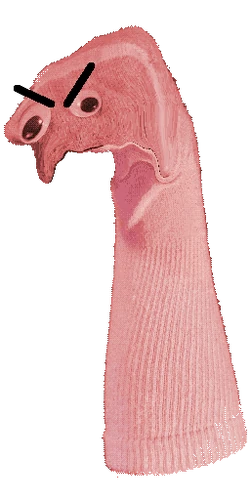 Nova | Baldi's Basics Scratch Wiki | Fandom