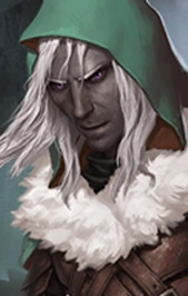 Drizzt Do'Urden | Baldur's Gate Wiki | Fandom