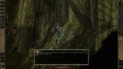 Forest of Tethir (Shadows of Amn) | Baldur's Gate Wiki | Fandom