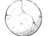 Category:Ioun stones | Baldur's Gate Wiki | Fandom