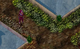 Imoen | Baldur's Gate Wiki | Fandom