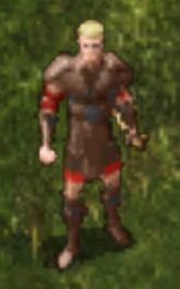 Bandit (Bandit Camp) | Baldur's Gate Wiki | Fandom