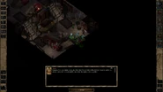 Anomen Delryn | Baldur's Gate Wiki | Fandom