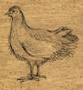 Melicamp the Chicken | Baldur's Gate Wiki | Fandom