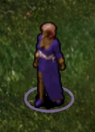 Dynaheir | Baldur's Gate Wiki | Fandom