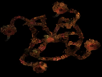 Beholder Cave in Underdark | Baldur's Gate Wiki | Fandom