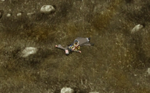 Go to the Friendly Arm Inn | Baldur's Gate Wiki | Fandom