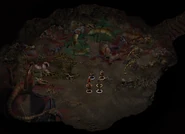 Cloakwood Wyverns | Baldur's Gate Wiki | Fandom
