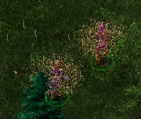 Summon Insects | Baldur's Gate Wiki | Fandom