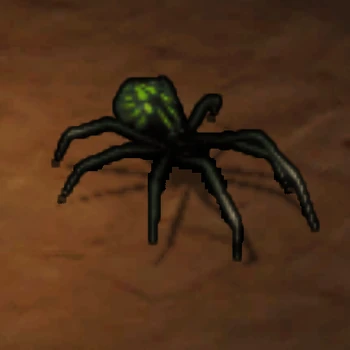 Bloated Spider | Baldur's Gate Wiki | Fandom