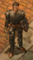 Priest of Helm (creature) | Baldur's Gate Wiki | Fandom