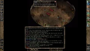 Free Haer'Dalis from Imprisonment by Mekrath | Baldur's Gate Wiki | Fandom