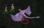 Cloakwood Forest | Baldur's Gate Wiki | Fandom