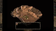 Jan Jansen | Baldur's Gate Wiki | Fandom