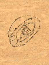 Wardstone (with picture) | Baldur's Gate Wiki | Fandom