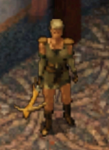 Assassin (Safehouse) | Baldur's Gate Wiki | Fandom