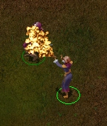 Burning Hands | Baldur's Gate Wiki | Fandom