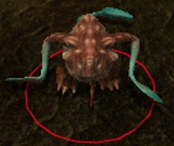 Otyugh | Baldur's Gate Wiki | Fandom