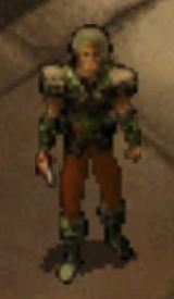 Aran Linvail | Baldur's Gate Wiki | Fandom