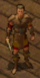 Bork | Baldur's Gate Wiki | Fandom