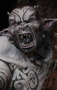 Rescue Garren's child from Firkraag | Baldur's Gate Wiki | Fandom