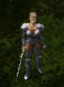 Squire Elotte | Baldur's Gate Wiki | Fandom