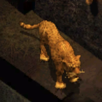 Tabitha | Baldur's Gate Wiki | Fandom