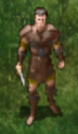 Guard (Friendly Arm Inn) | Baldur's Gate Wiki | Fandom