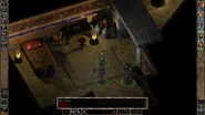 Aran's Task - Defeat Bodhi and her guild | Baldur's Gate Wiki | Fandom
