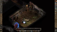 Firkraag's Maze | Baldur's Gate Wiki | Fandom