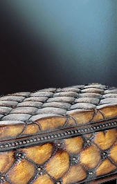 Talisman of Rillifane | Baldur's Gate Wiki | Fandom