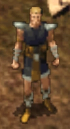 Priest of Helm (creature) | Baldur's Gate Wiki | Fandom