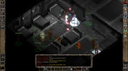 Mercenary of Riatavin | Baldur's Gate Wiki | Fandom