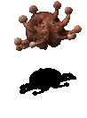 Beholder | Baldur's Gate Wiki | Fandom